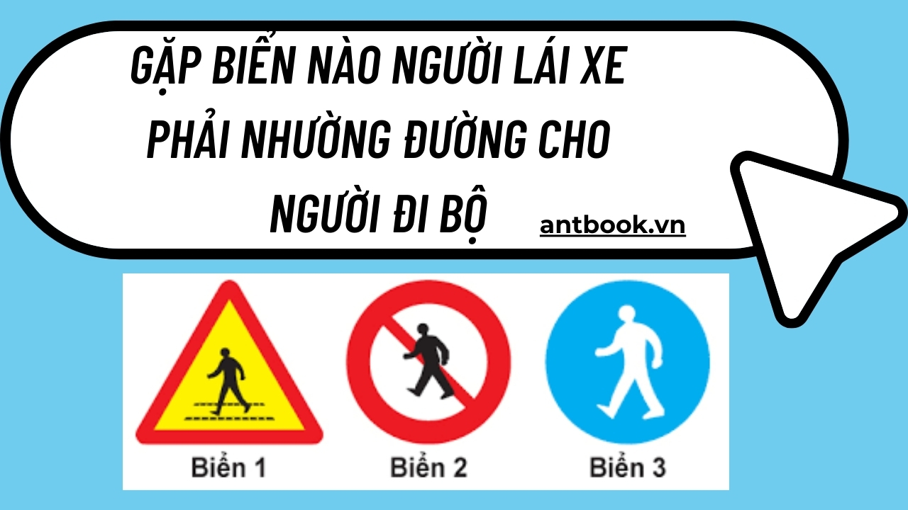 Gặp biển nào người lái xe phải nhường đường cho người đi bộ?